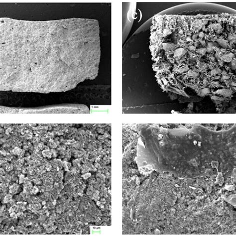 Observation By The Scanning Electron Microscope A β Tcp B C Ocp