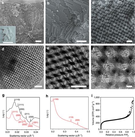 Hierarchically Porous Sio2 Skeletal Nanostructures Replicated From The Hierarchically Porous Sio2 Skeletal Nanostructures Replicated From The