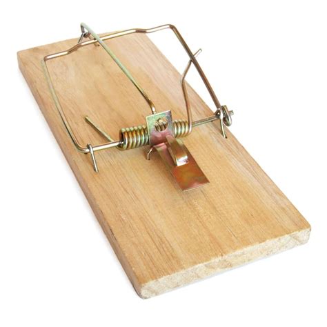 Premium Photo Mouse Trap Waiting For Its Victim