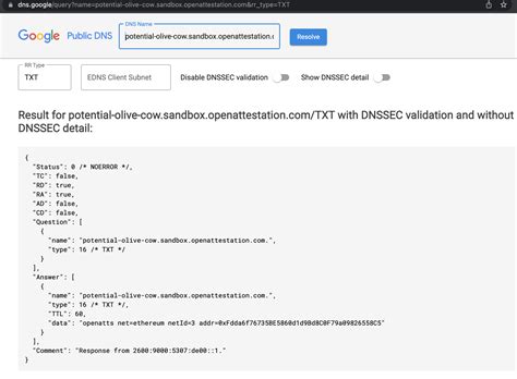 unable to query dns error · issue 222 · open attestation oa verify · github