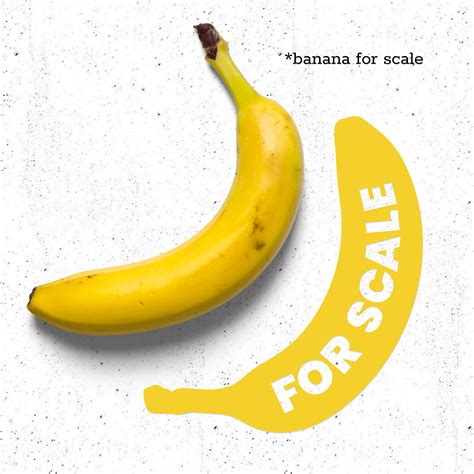 Banana For Scale Vinyl Sticker Funny Meme Car Window Decal Perfect