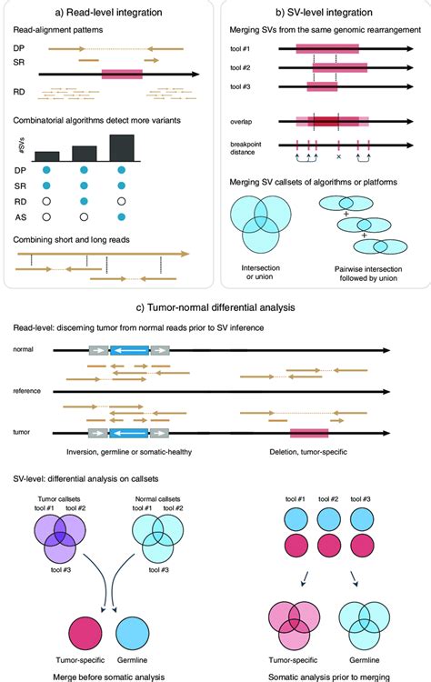 Data Integration To Improve Tumor Specific Sv Detection A Alignment Of