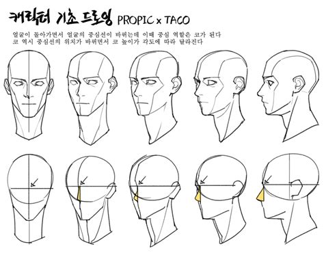 타코작가 On Twitter 해부학 예술 그릴 얼굴 드로잉 강좌
