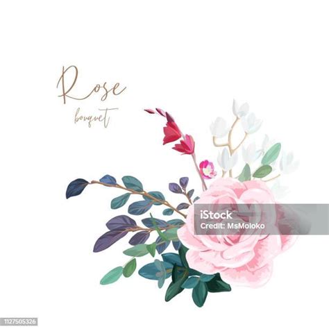 Succulents 유칼립투스 흰색 봄 꽃 창백한 장미 장식 코너 구성 청첩장과 로맨틱 카드에 대 한 가벼운 꽃 꽃다발 손으로 그린 벡터 일러스트 레이 션 0명에 대한 스톡