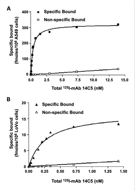 Saturation Binding Of 125 I Labeled Mab 14c5 To A549 Cells A And Lovo