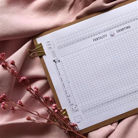 Paper Charts Fertility Charting