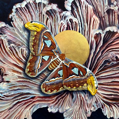 Convergence Large Atlas Moth Painting With Gold Leaf Aimee