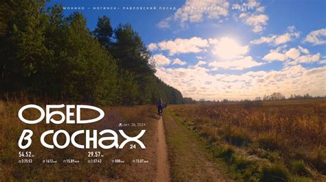 Обед в соснах с ВелоСталью Youtube