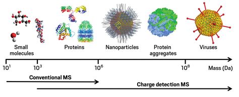 Charge Detection Mass Spectrometry Measures Molecular Structures Too