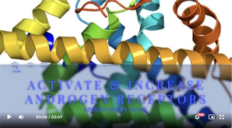 Activate And Increase Androgen Receptor Density In The Body Advanced