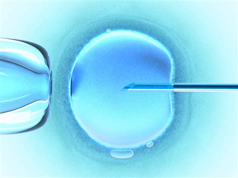 Sperm Dna Fragmentation Test Semen Marilyn Glenville