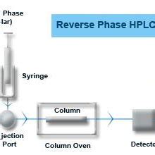 Column Pore Size Selection Based On Molecular Weight Of The Protein Download Scientific Diagram