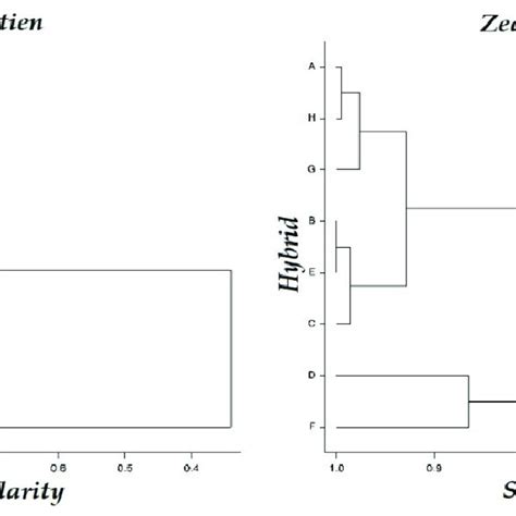 Cluster Analysis Lutein And Zeaxanthin A Db B Ho C Gb D Se Download Scientific