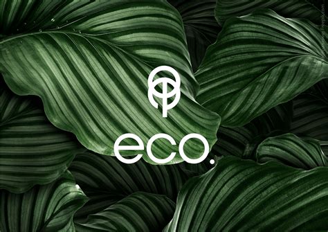 Eco On Behance