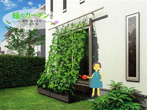 2022 新作 緑のカーテンネット 幅3 6m5m サイドロープ付き store midwife org