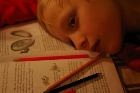 Mood Behavior And Neurotransmitters Prosper Health Clinics