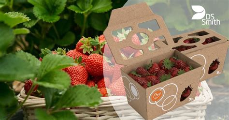 Sofija Milić On Linkedin Od Uzgoja Do Posluživanja Hrana Ostavlja Značajan Ekološki Otisak 🍎🏠…