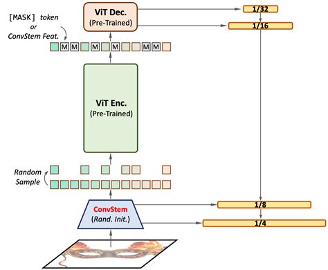 Benchmarking Detection Transfer Learning With Vision Transformers Papers With Code