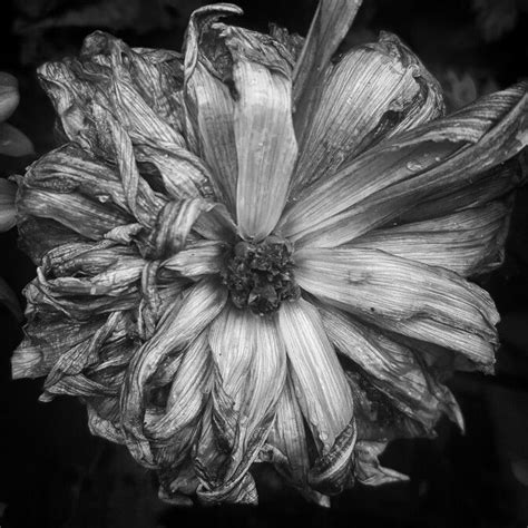 All Images Are Copyrighted By Nathaniel Galka Photographer Beauty Photography