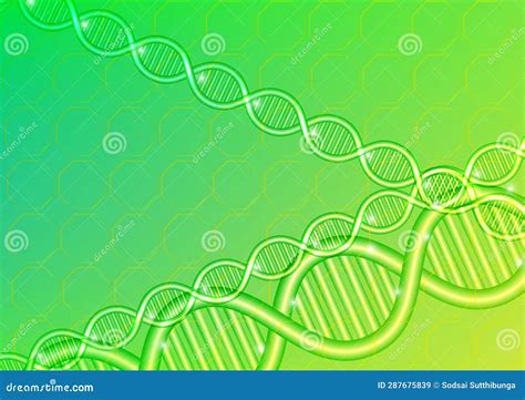 Structure Of Gene And Chromosome Vector Illustration 309535508