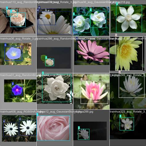 66基于深度学习的花卉检测识别系统（yolo11、yolov8、yolov5ui界面python项目源码模型标注好的数据集）基于yolo11的花卉识别系统的源代码 Csdn博客