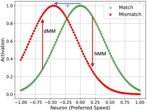 Population Of Neurons Encoding Speed In The Match Condition Visual