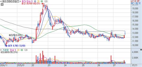 레이크머티리얼즈 주가 And 전망 장중 분석 데이터 250721