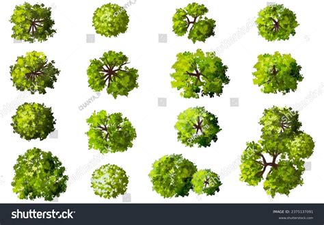 Vector Set Top View Green Tree Stock Vector Royalty Free Shutterstock