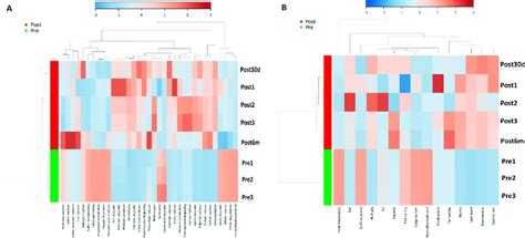 heat map of putative functional profiles agglomerative hierarchical