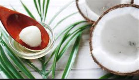 Coconut Oil Vs Coconut Milk Unveiling The Best Choice For Healthy Hair
