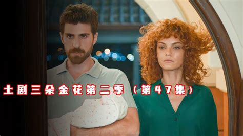 三朵金花第二季47高清1080p在线观看平台腾讯视频