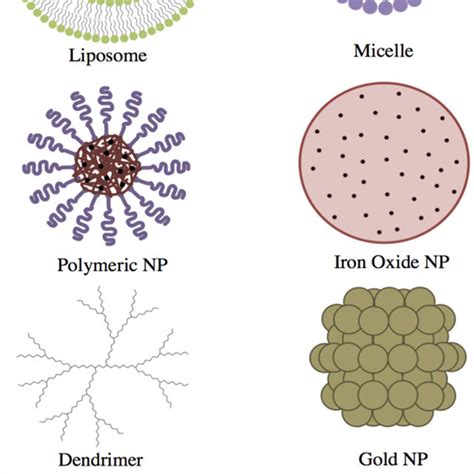 1 Concept Of Epr Effect For Tumor Targeted Drug Delivery Adapted From Download Scientific
