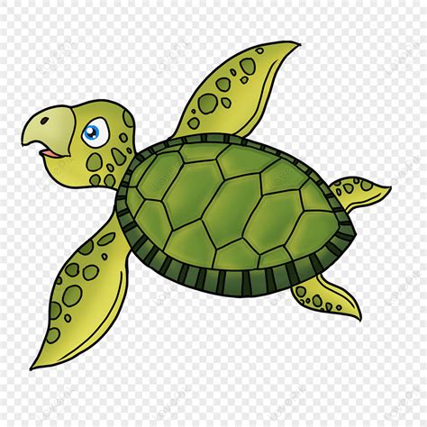 만화 일러스트 스타일 귀여운 짙은 녹색 거북이 껍질이지만 피부 클립 아트 바다 터틀 아름다운 Png 일러스트 무료 다운로드 Lovepik