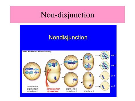 Ppt Mutations And Chromosomal Abnormalities Powerpoint Presentation Free Download Id 605899