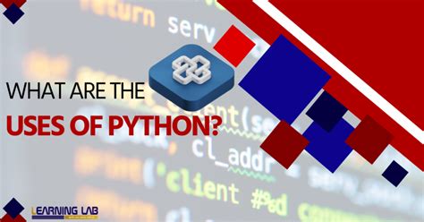 What Are The Potential Uses Of Python What Career Opportunities Are Available For Python