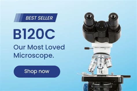 4 Microscope Slide Mounting Techniques For Beginners Amscope