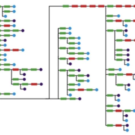 Decision Tree For The Classification Of Mamma Carcinoma Icd C50