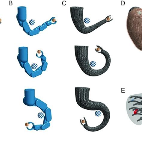 Comparison Between A Rigid‐bodied Hyper‐redundant Robotic Arm And A Download Scientific Diagram