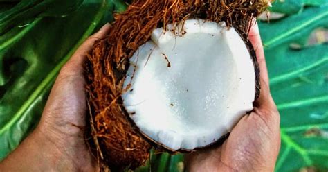 Can I Use Underscore In An Email Address La De Du