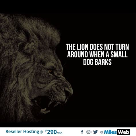 The Lion Does Not Turn Around
