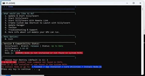 Sillytavern Failed To Start Server And Node Command Errors