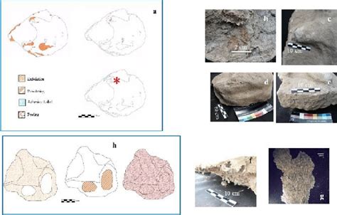 Deterioration Patterns Observed In The Footprint Ml 557 4 Mapping Of Download Scientific