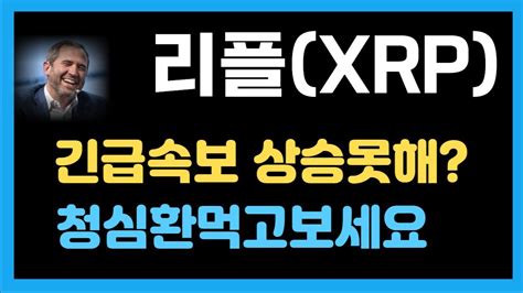 리플 긴급속보 이것때문에 상승을 못하는거야 내용 충격적입니다 청심환먹고 보세요 리플 리플코인 Xrp 리플xrp