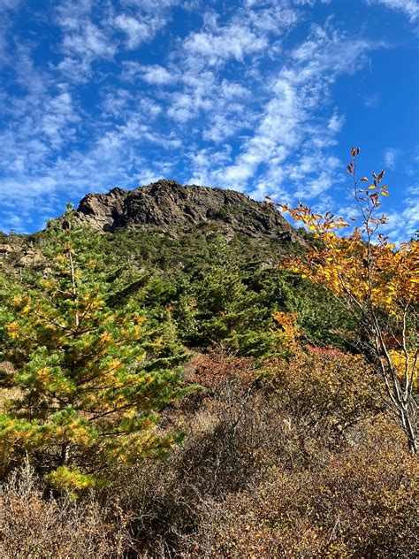 石鎚山々登山部八巻山東赤石山 新居浜市 えひめさんさん物語