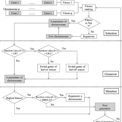 Flow Diagram Of The Proposed Genetic Algorithm Model Download Scientific Diagram