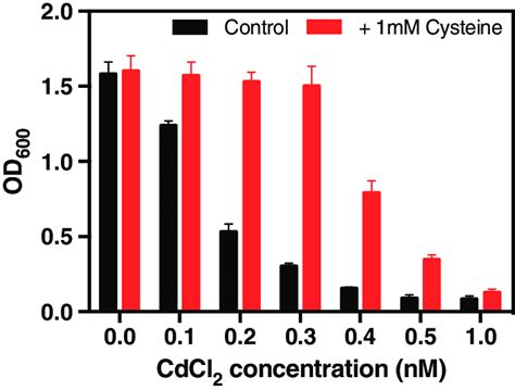 Cell Density OD 600 Of E Coli K 12 Inoculated In MOPS Medium With Download Scientific