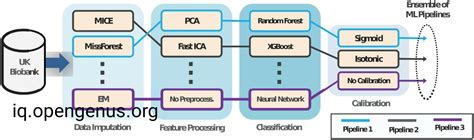 Applications Of Random Forest