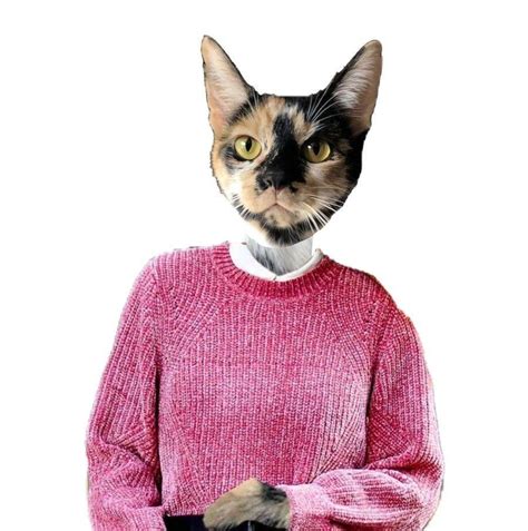 Hey Hey How Is Everyone This The Snuggle Cuddle Inn Facebook