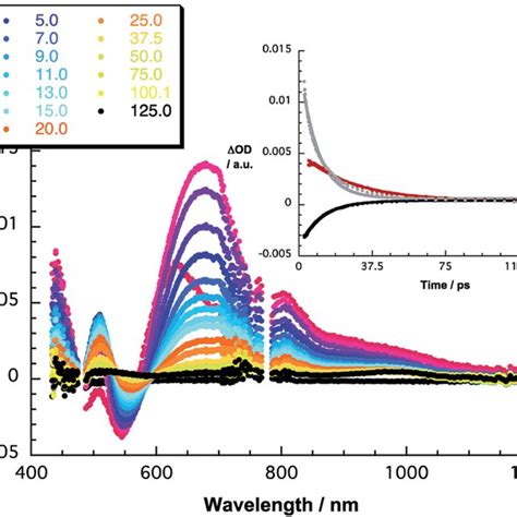 Differential Absorption Spectra Visible And Near Infrared Obtained