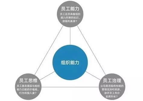 名家面对面灯塔相辉映 杨三角企业家分享北海站